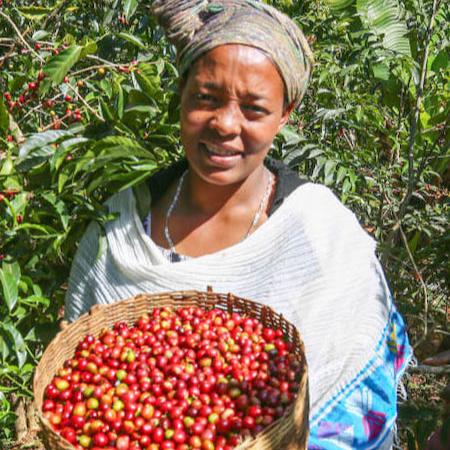 Mrs. Tigest Wako – Floreo Coffee Co